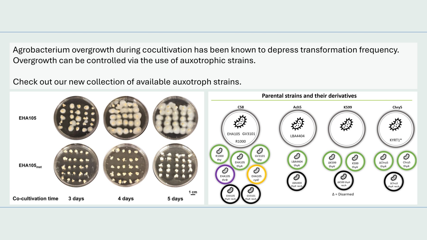 Parrott Lab | Genetics & Biotechnology of Crop Plants